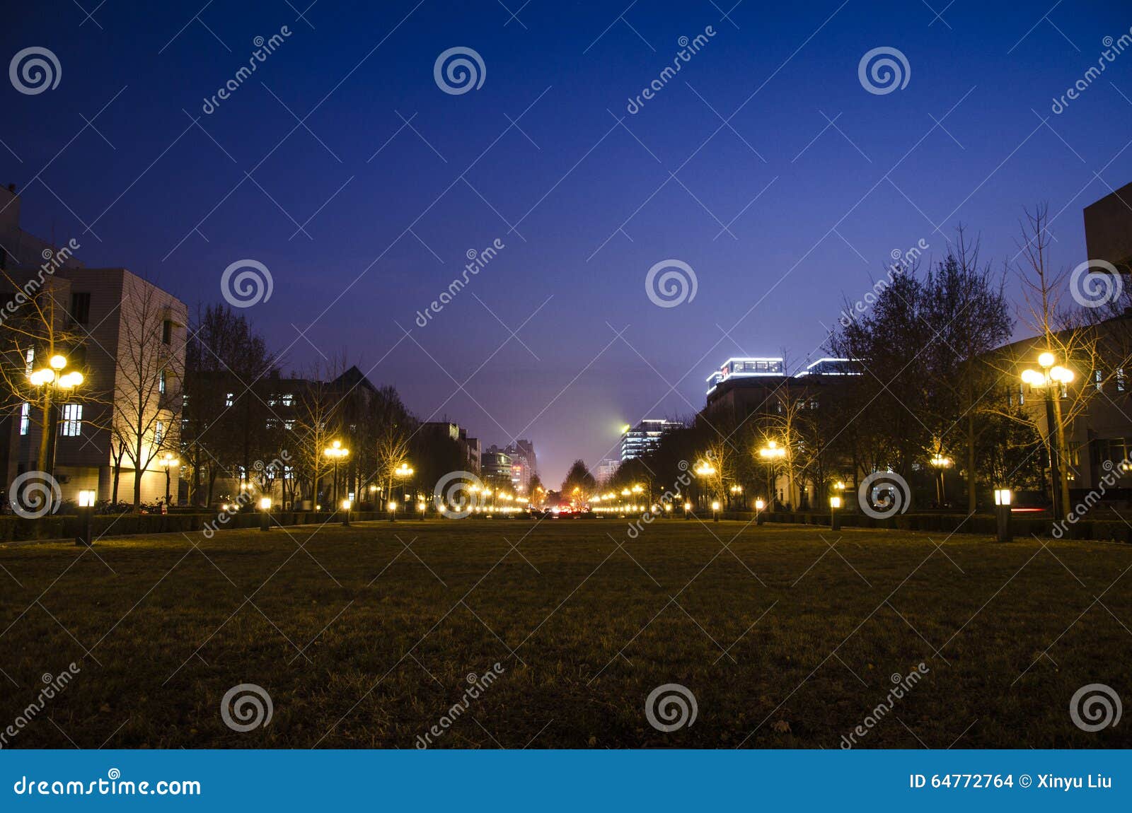 A Campus At Night Stock Image | CartoonDealer.com #1868089