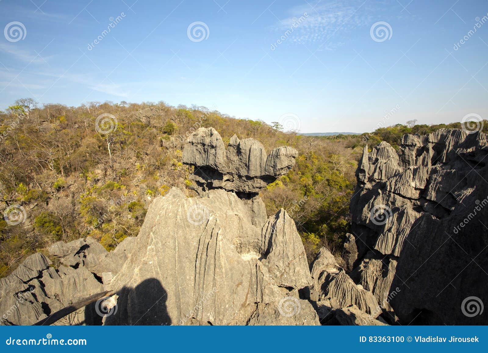 Tsingy Bizarre Limestone Cliffs, Reserve Ankarafantsika, Madagascar ...
