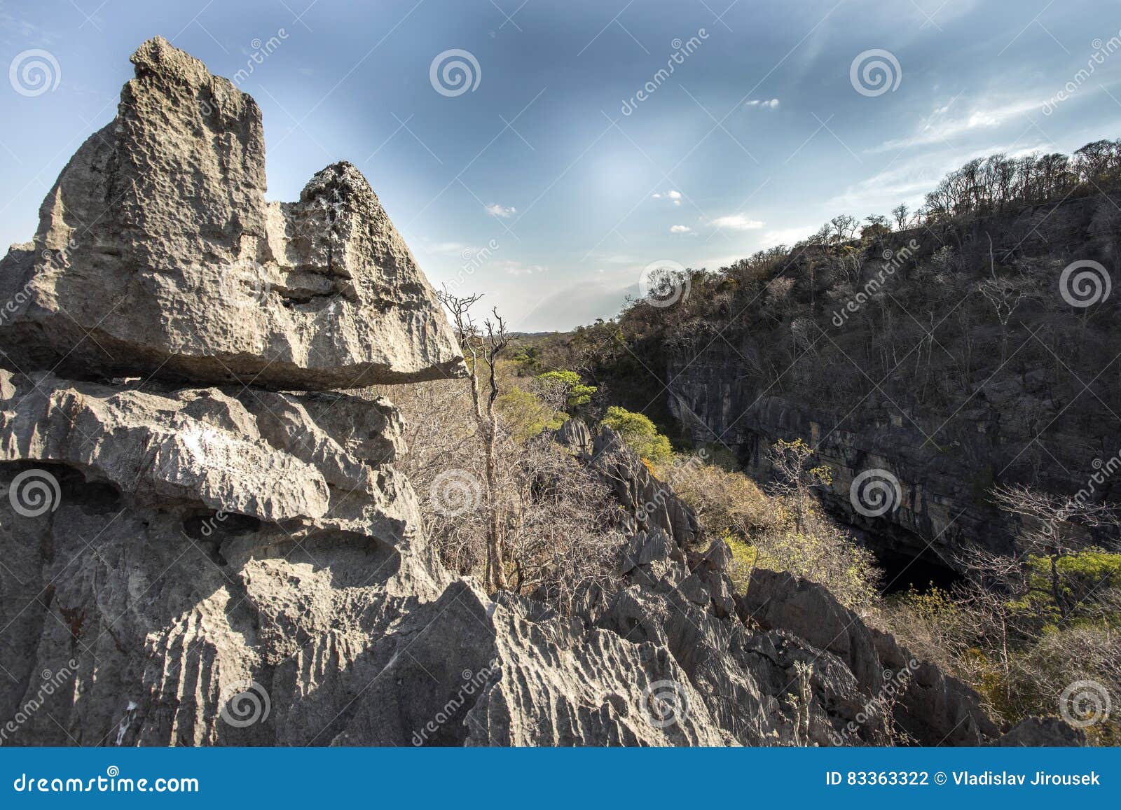 Tsingy Bizarre Limestone Cliffs, Reserve Ankarafantsika, Madagascar ...