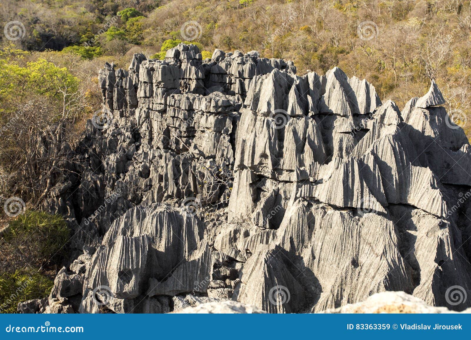 Tsingy Bizarre Limestone Cliffs, Reserve Ankarafantsika, Madagascar ...