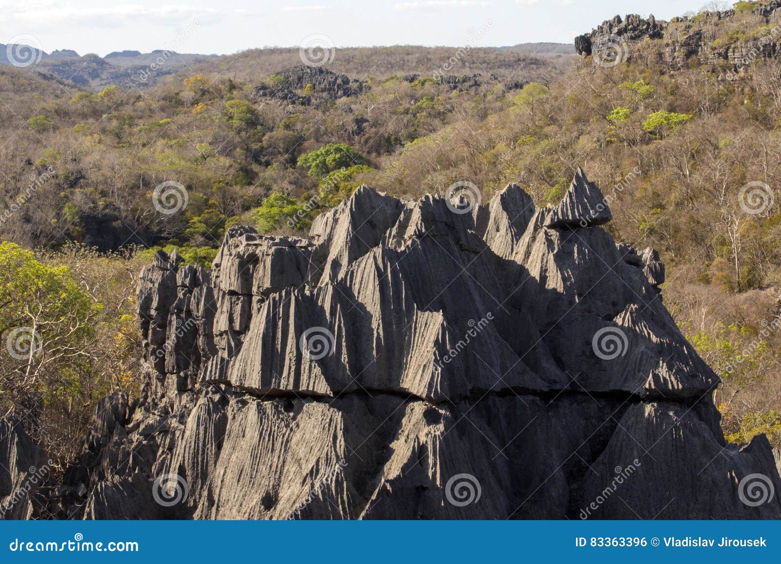 Tsingy Bizarre Limestone Cliffs, Reserve Ankarafantsika, Madagascar ...