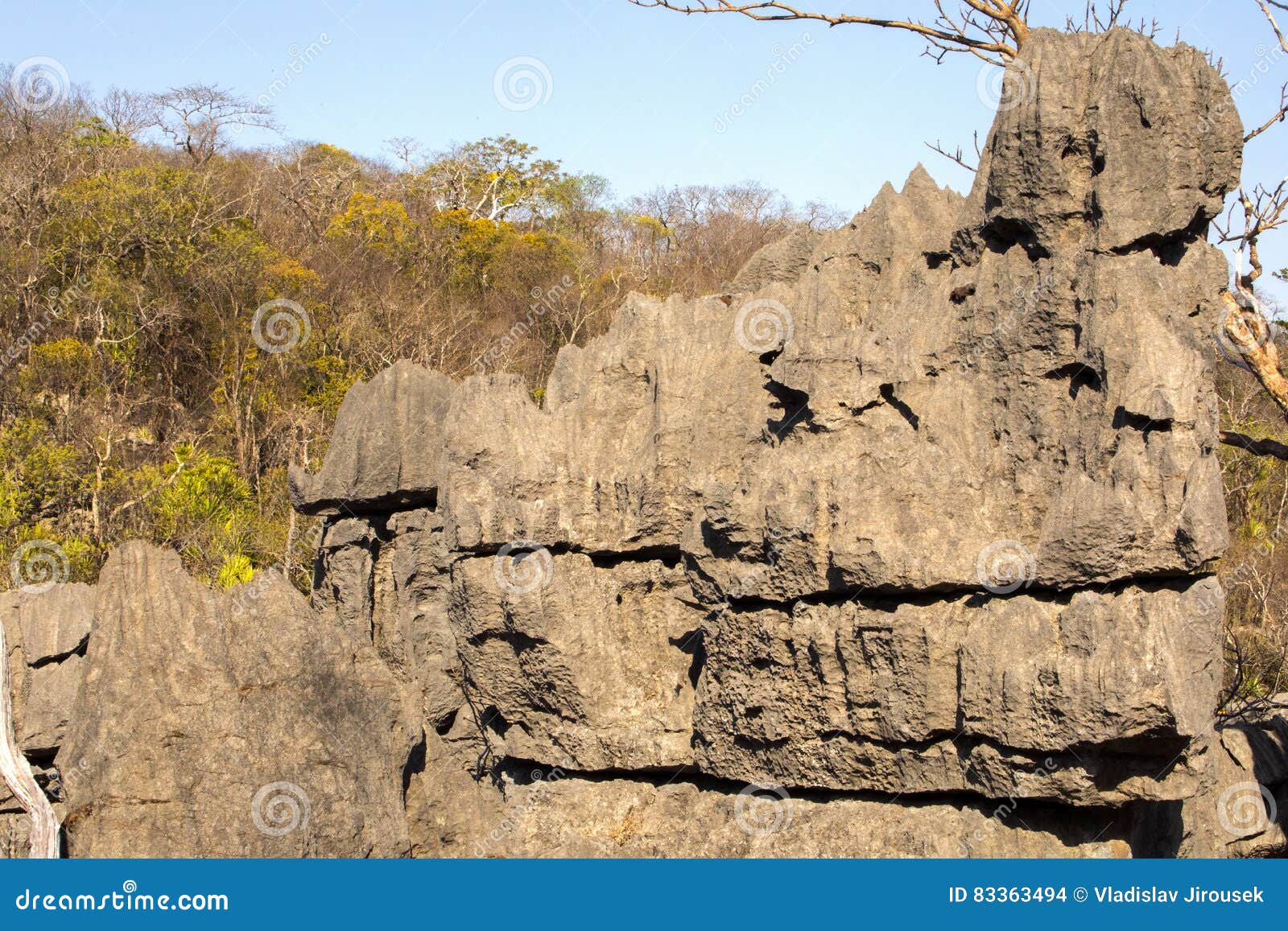 Tsingy Bizarre Limestone Cliffs, Reserve Ankarafantsika, Madagascar ...