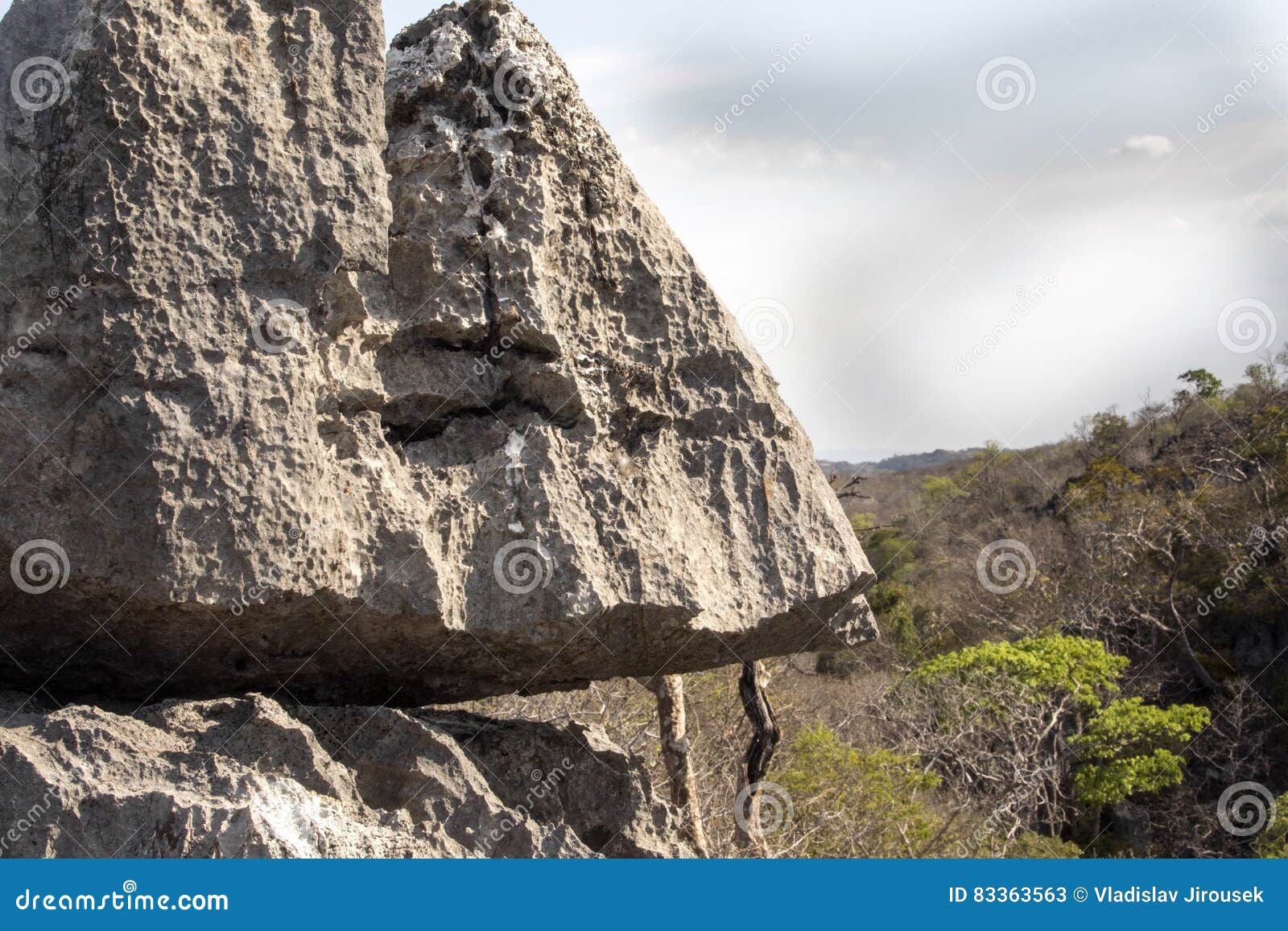 Tsingy Bizarre Limestone Cliffs, Reserve Ankarafantsika, Madagascar ...