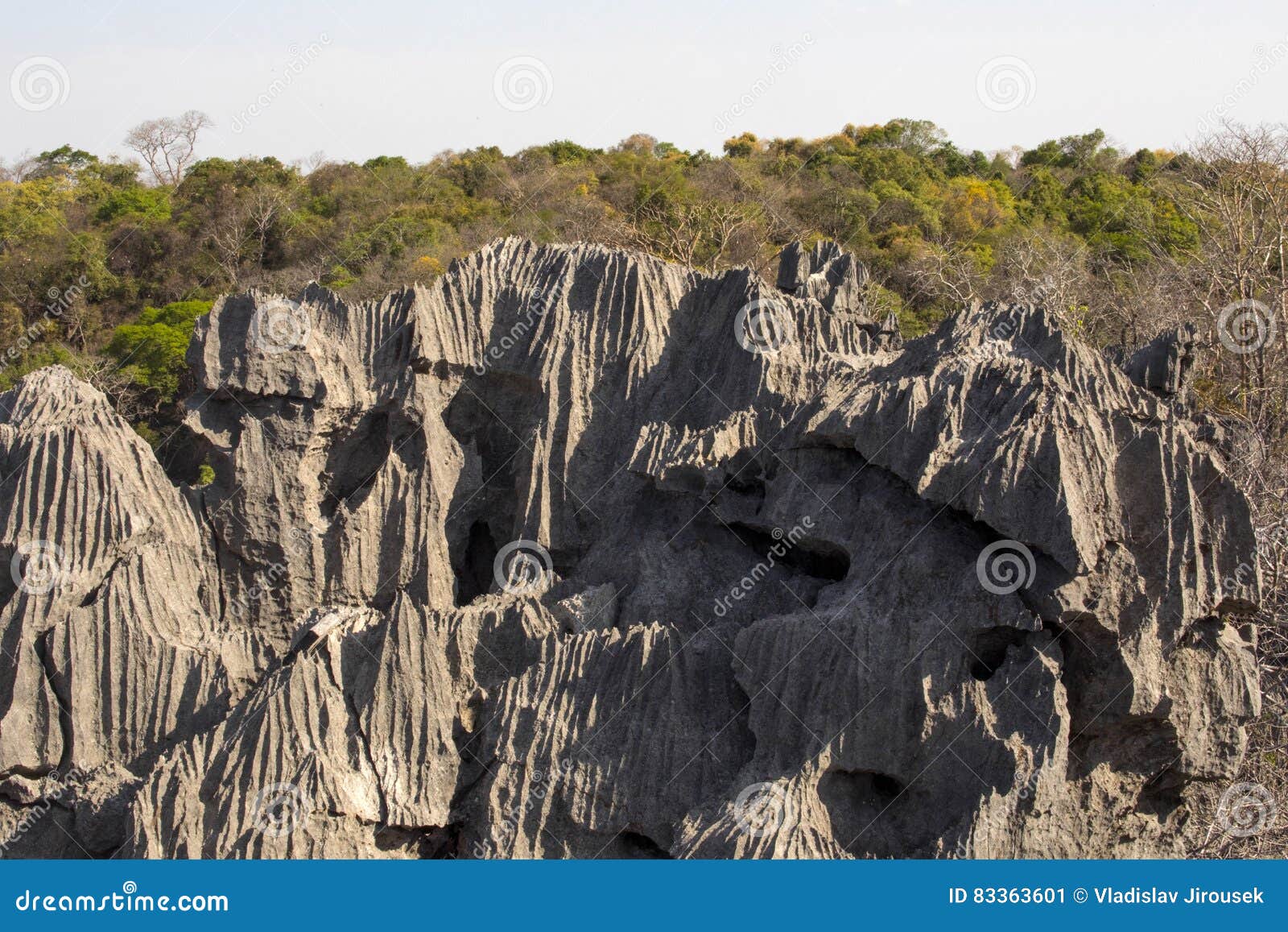 Tsingy Bizarre Limestone Cliffs, Reserve Ankarafantsika, Madagascar ...
