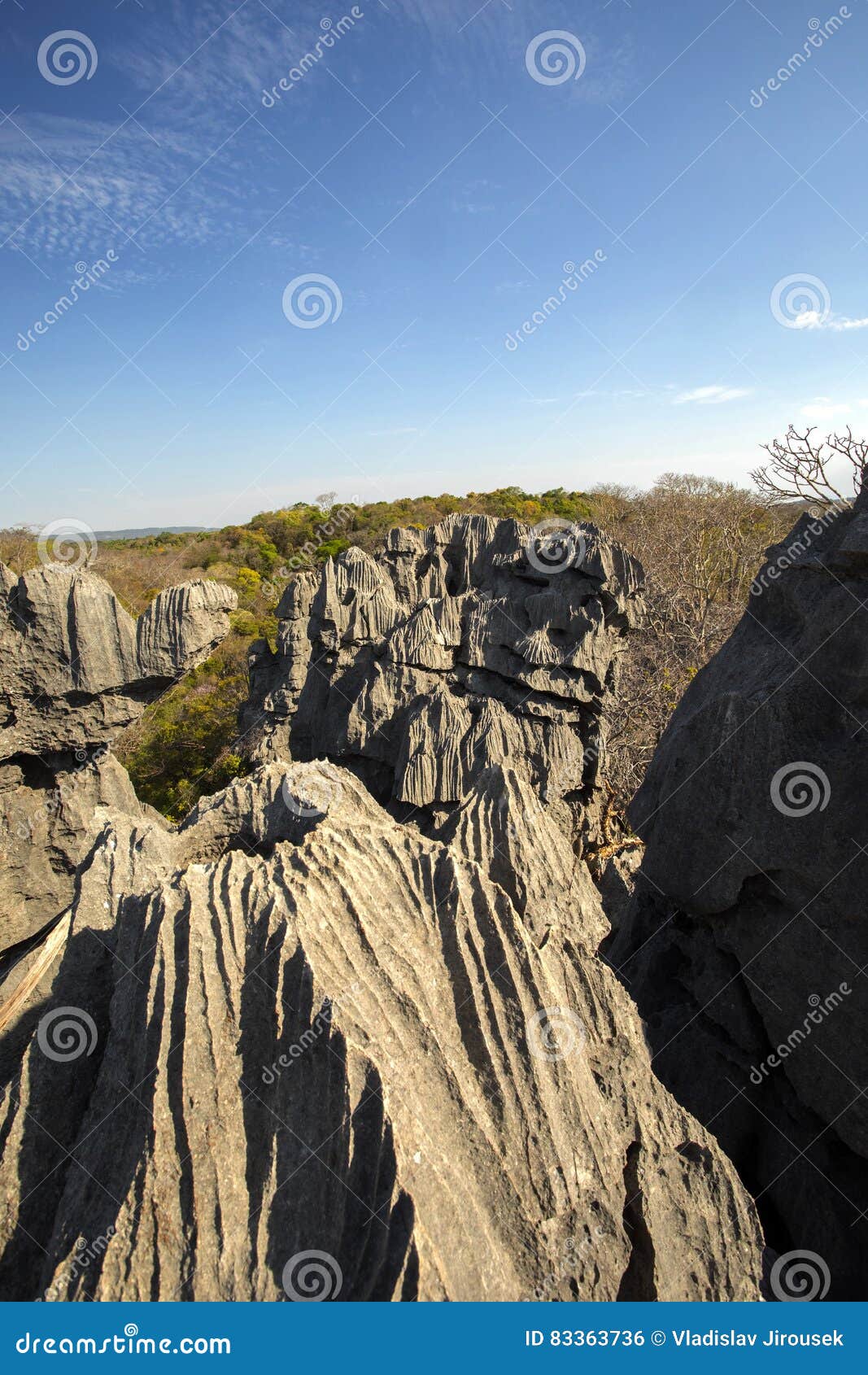 Tsingy Bizarre Limestone Cliffs, Reserve Ankarafantsika, Madagascar ...