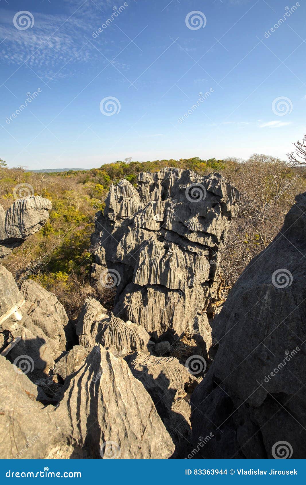 Tsingy Bizarre Limestone Cliffs, Reserve Ankarafantsika, Madagascar ...