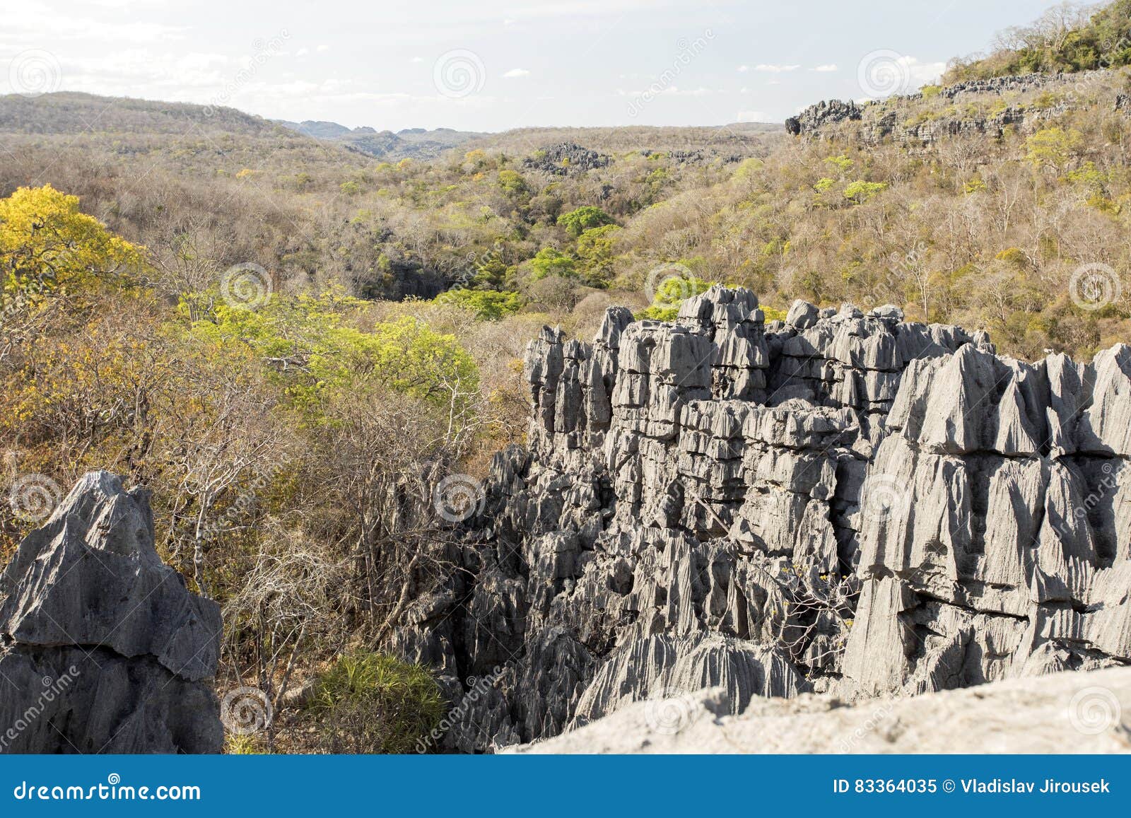 Tsingy Bizarre Limestone Cliffs, Reserve Ankarafantsika, Madagascar ...