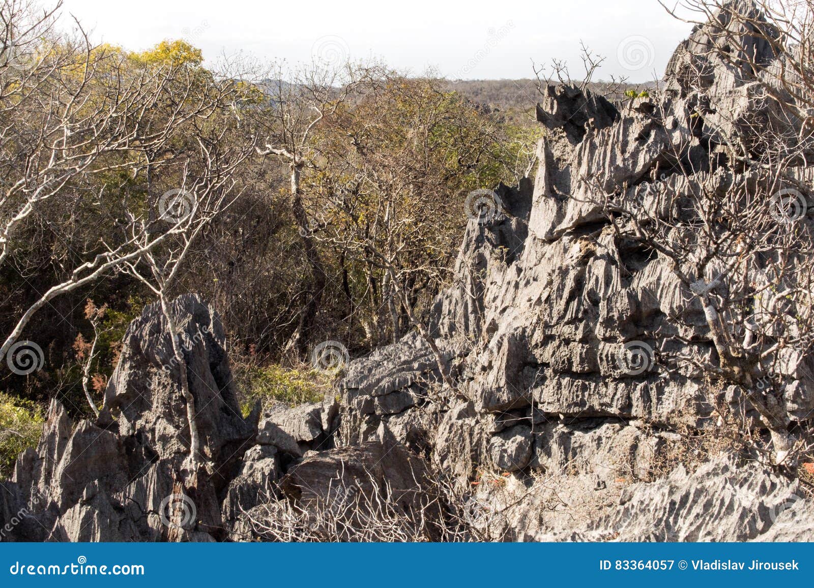 Tsingy Bizarre Limestone Cliffs, Reserve Ankarafantsika, Madagascar ...