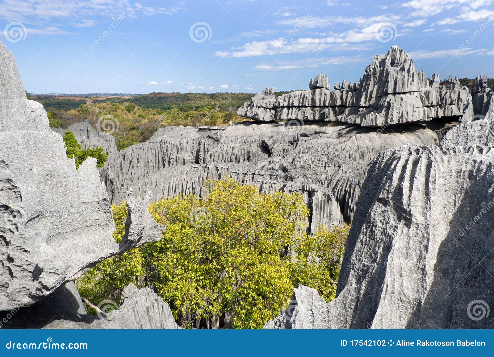 Tsingy de Bemaraha stock photo. Image of malagasy, large - 17542102