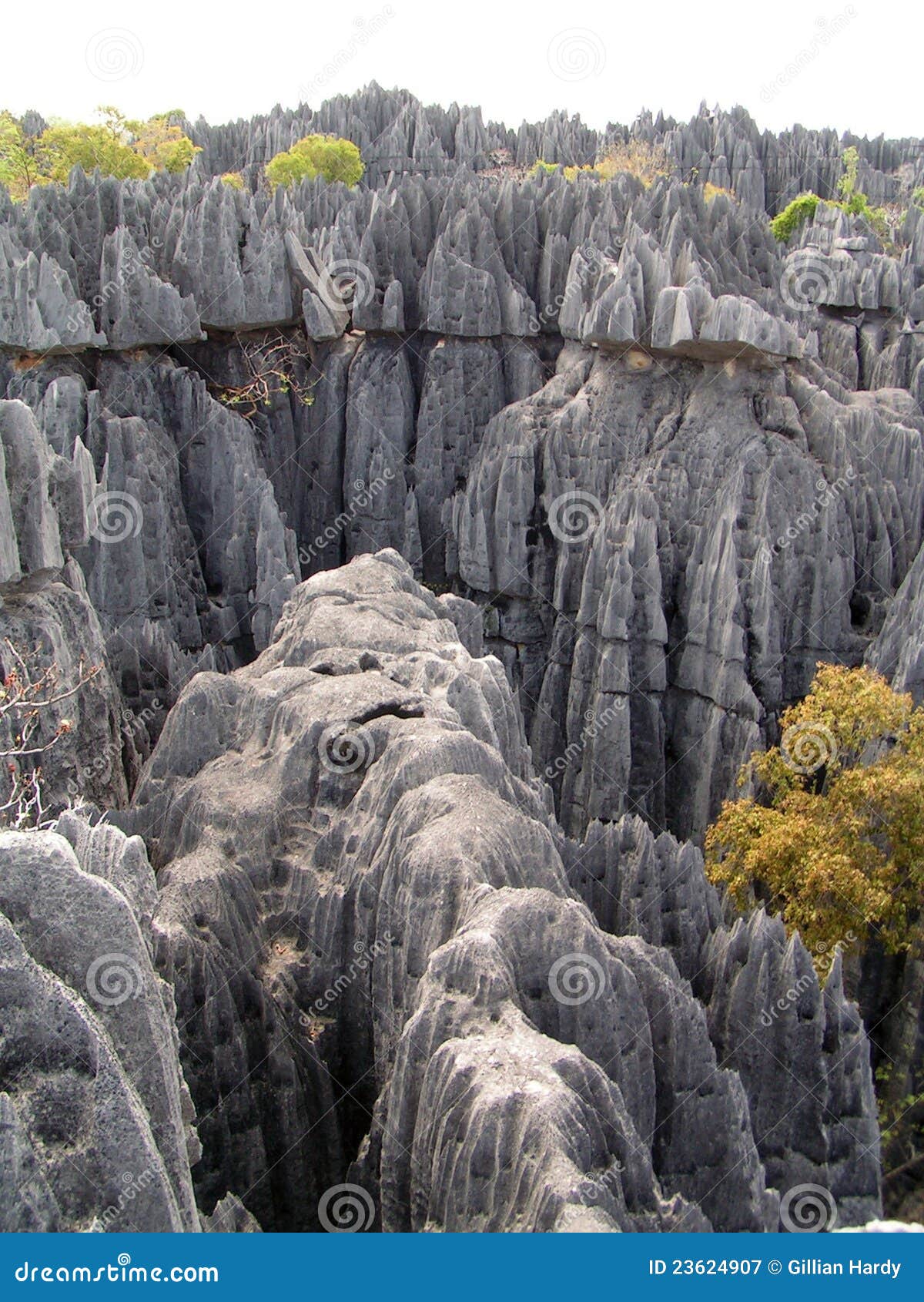 Tsingy Madagascar stock image. Image of africa, travel - 23624907