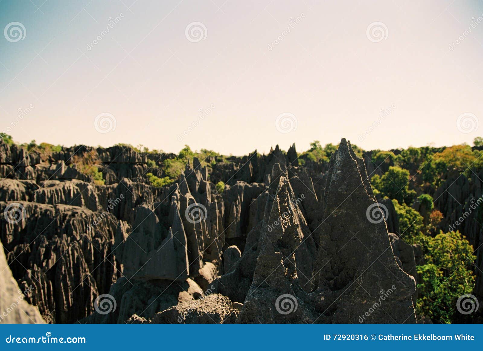 Tsingy Madagascar stock photo. Image of geology, climbing - 72920316