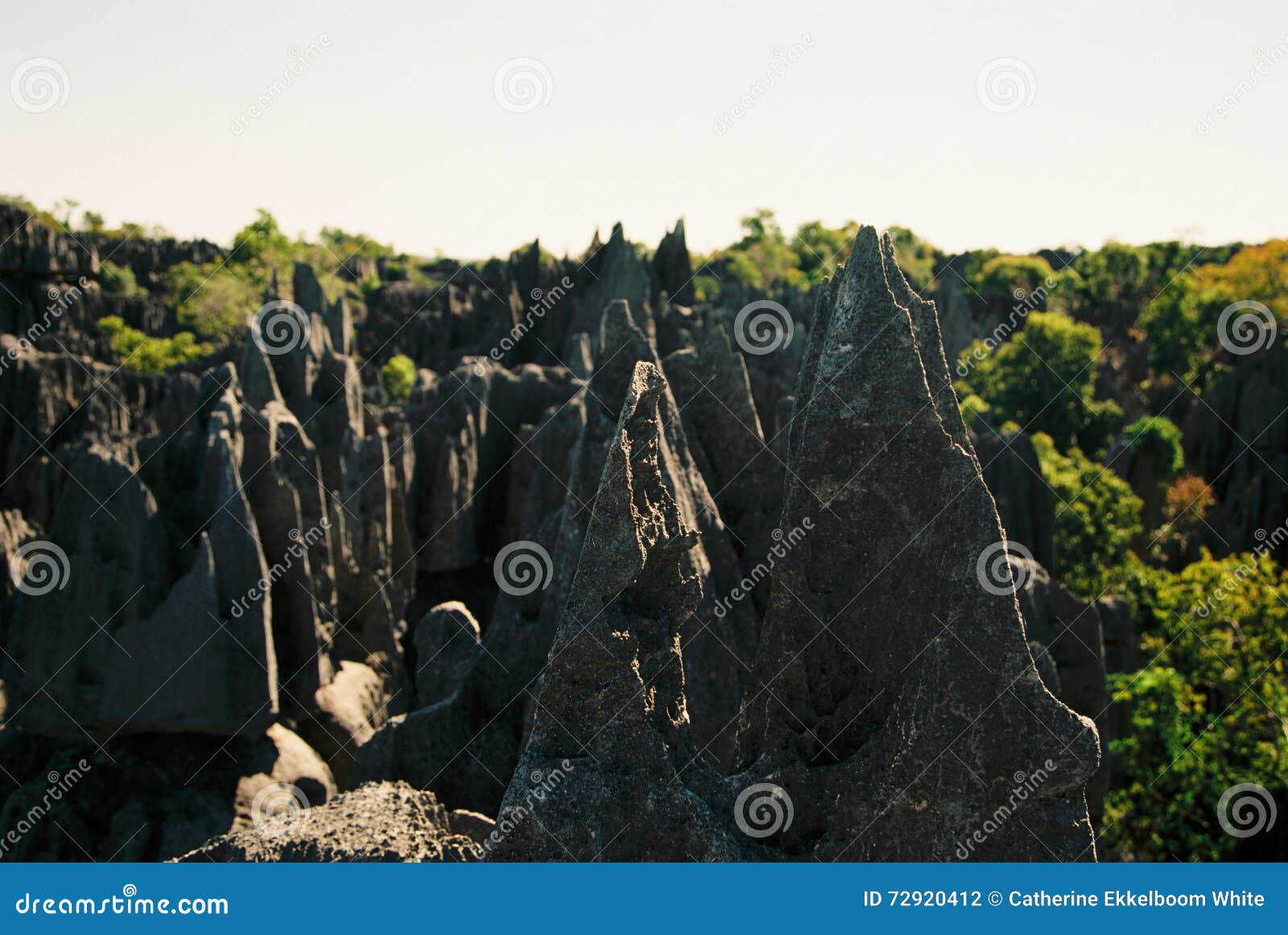 Tsingy Madagascar stock photo. Image of geology, climb - 72920412