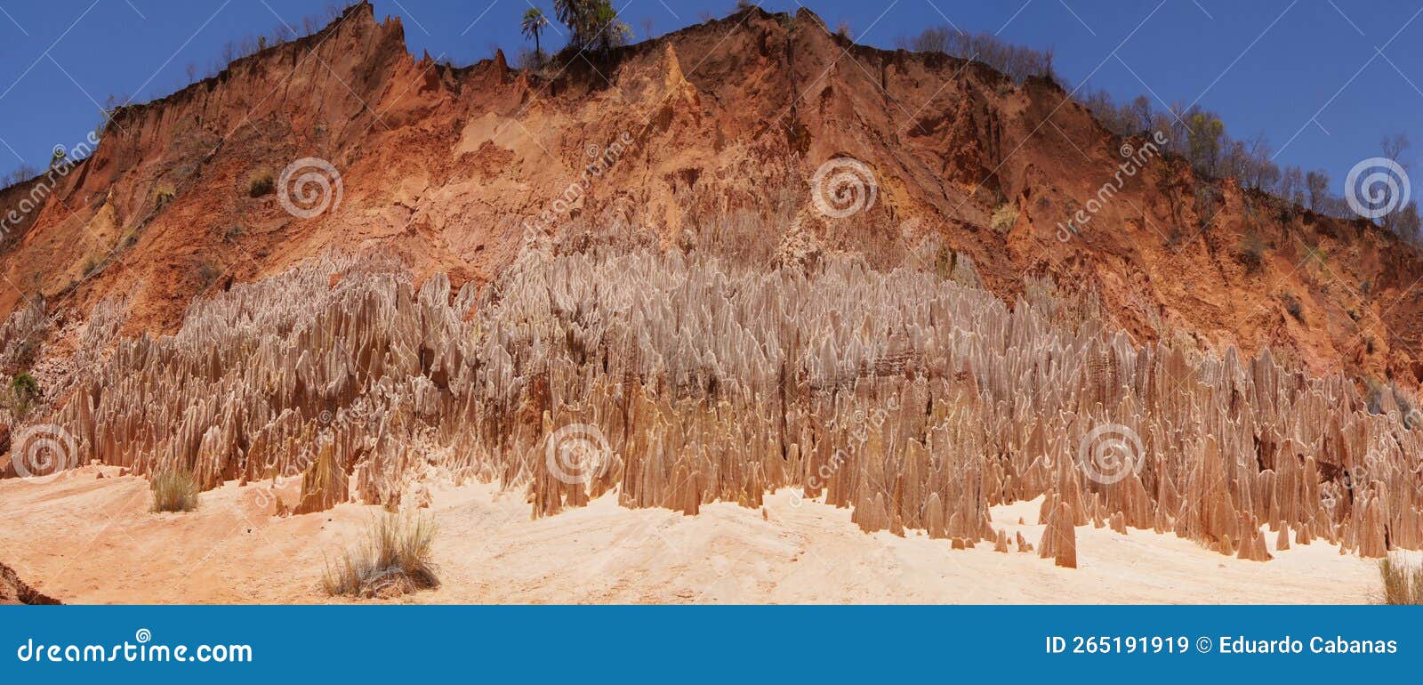Tsingy Rouge Canyon, Diego Suarez - Madagascar Stock Image - Image of ...