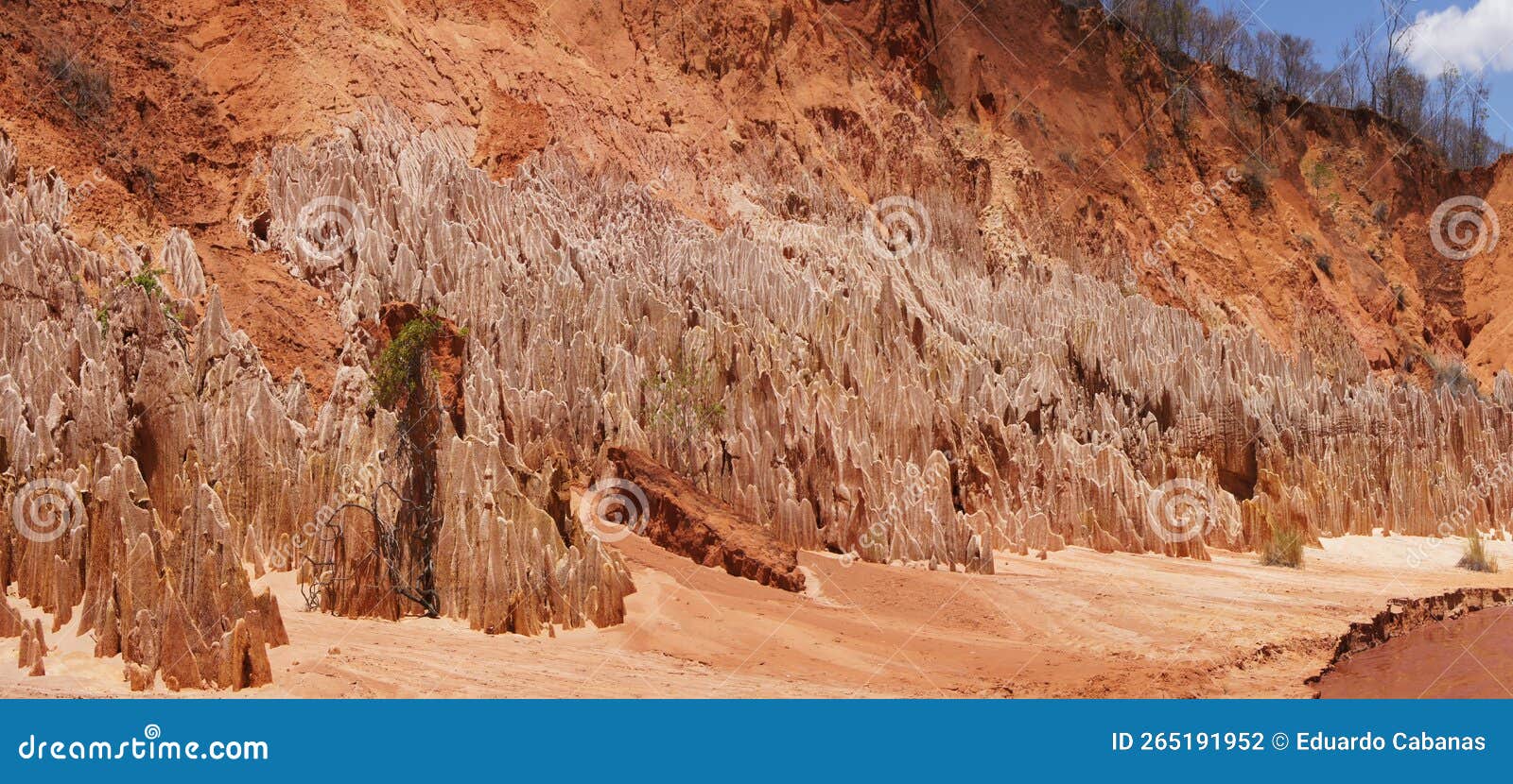 Tsingy Rouge Canyon Diego Suarez Madagascar Foto de archivo - Imagen de ...