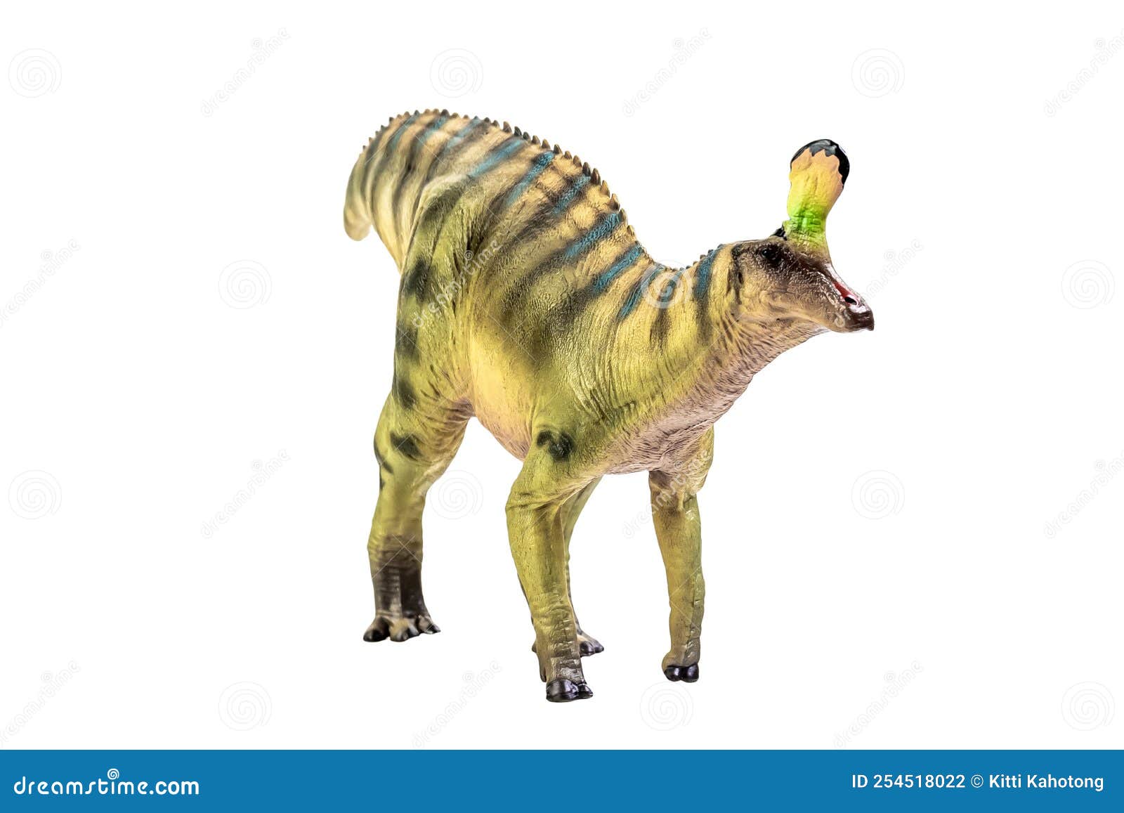 Tsintaosaurus Spinorhinus Dinosaur on White Isolate Background Clipping ...