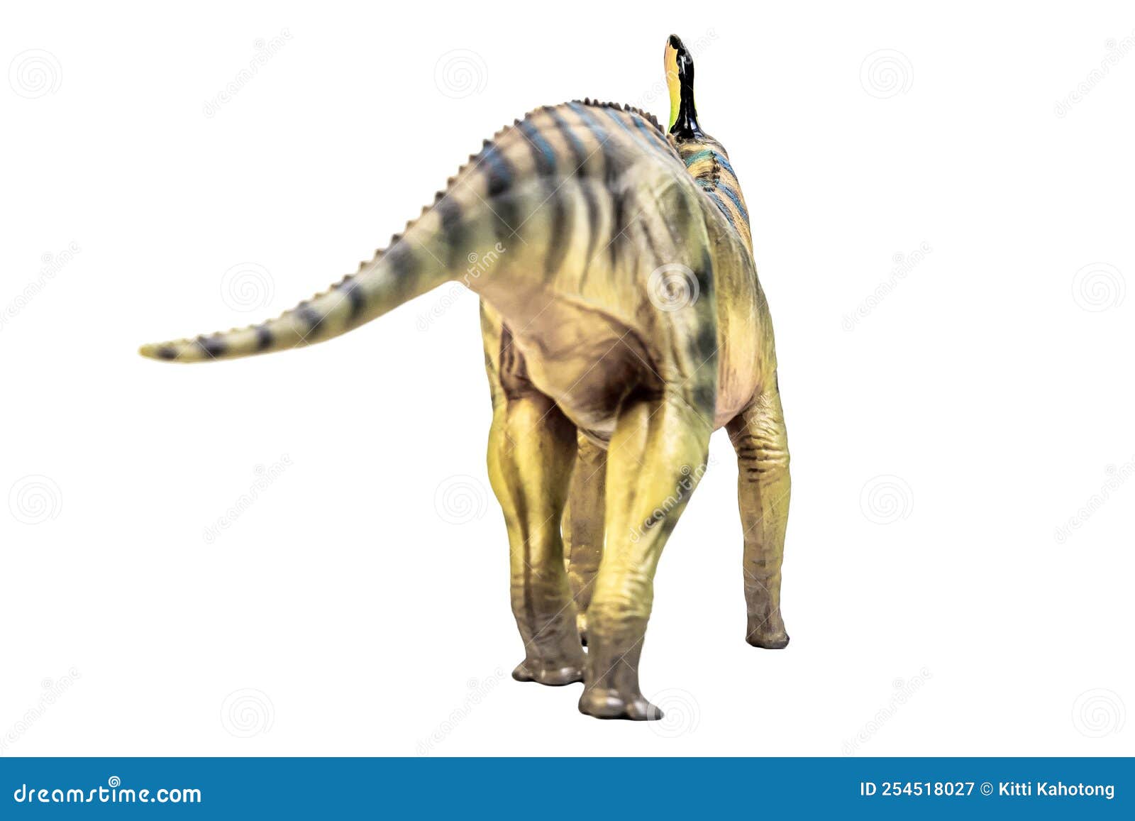 Tsintaosaurus Spinorhinus Dinosaur on White Isolate Background Clipping ...