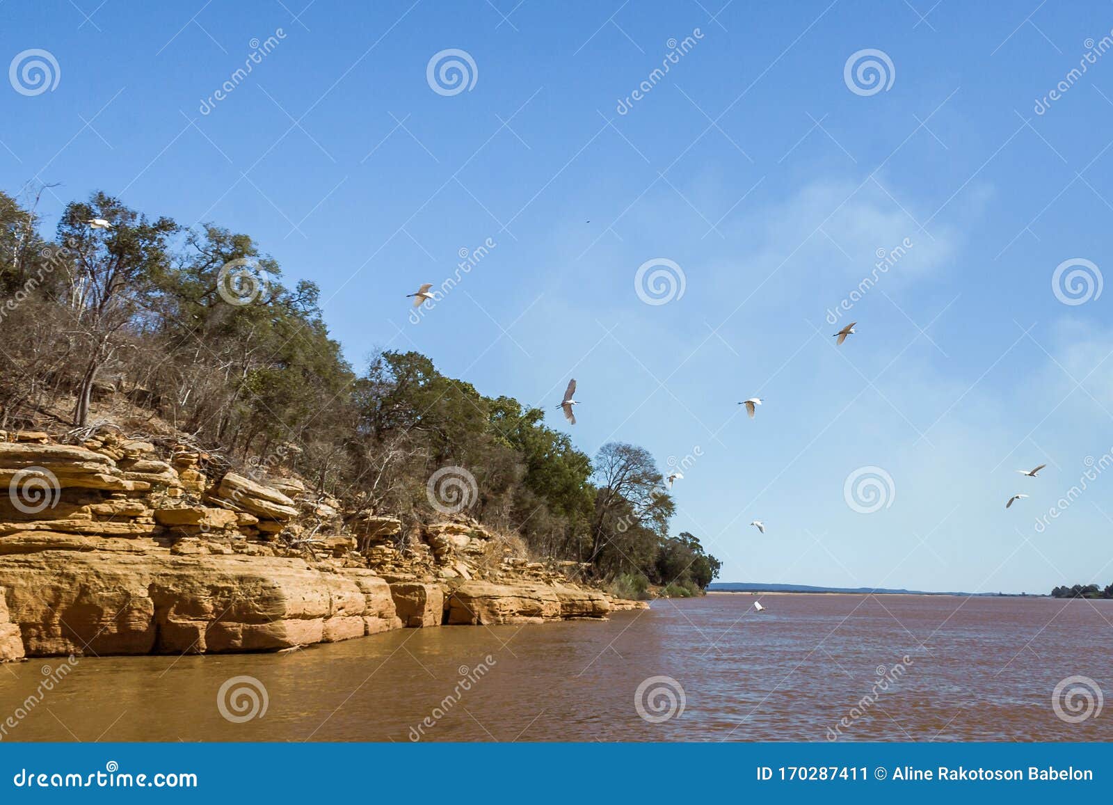Tsiribihina river stock image. Image of environment - 170287411