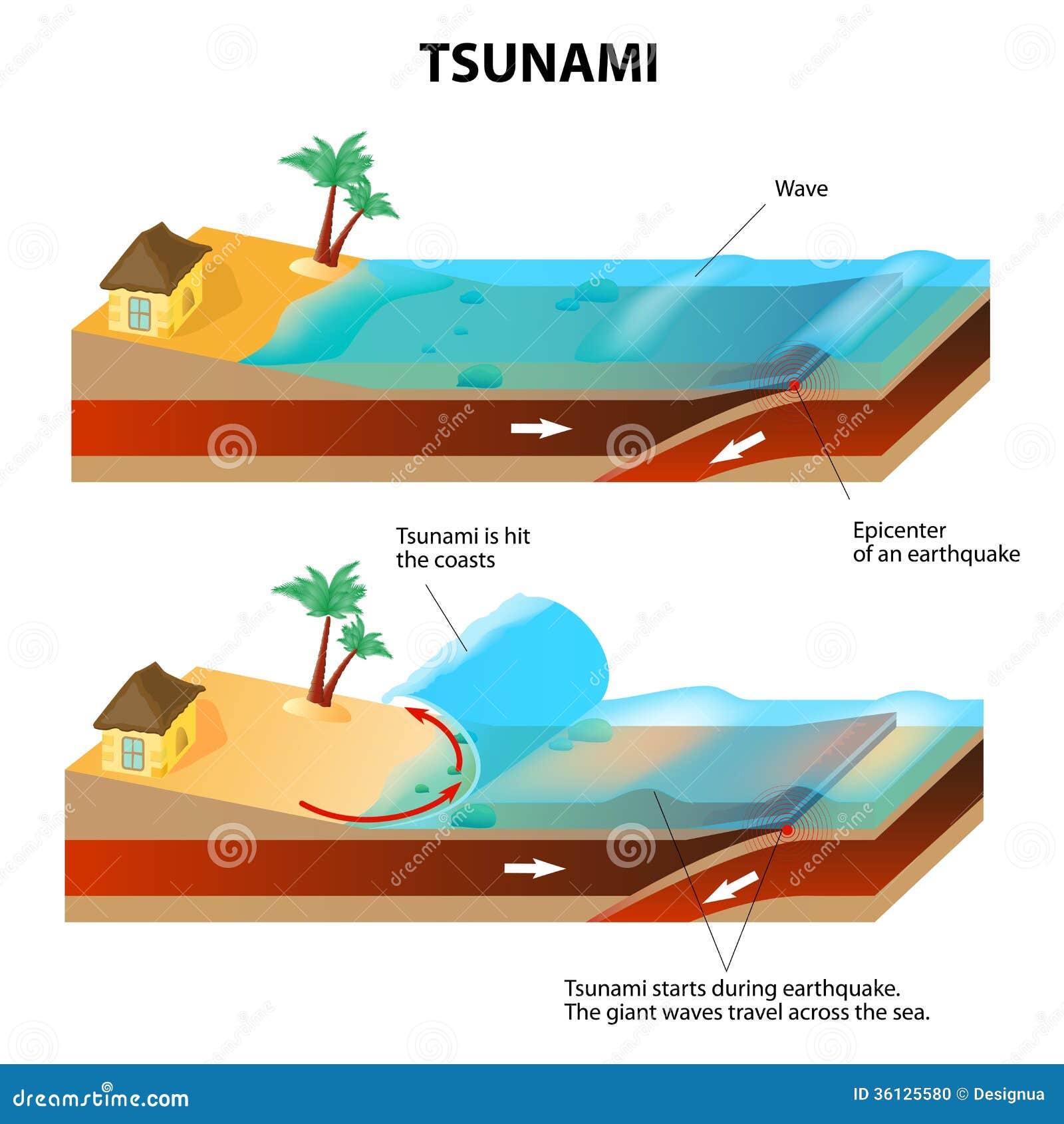 Tsunami En Aardbeving. Vectorillustratie Vector Illustratie ...