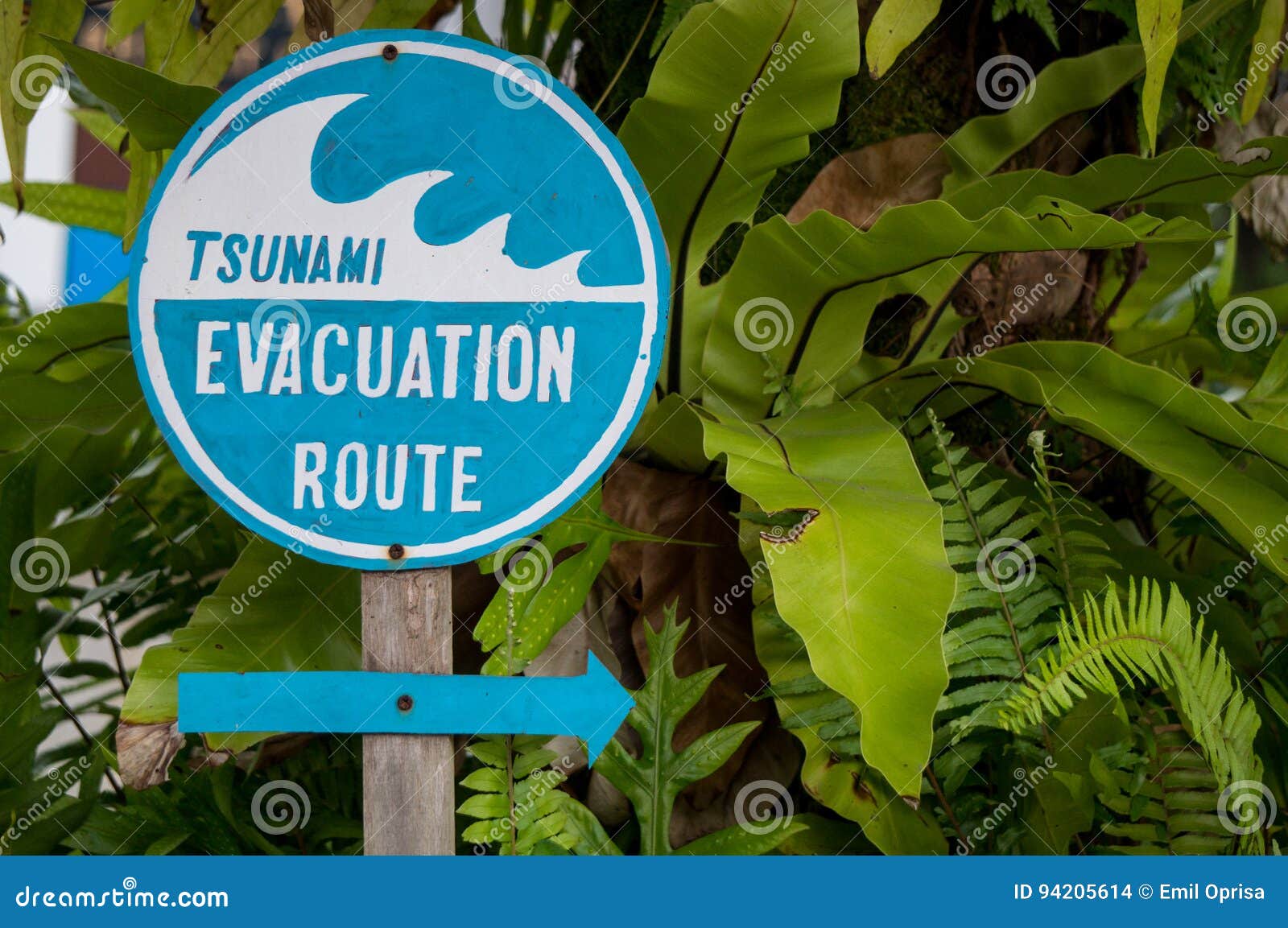 Tsunami evacuation route stock photo. Image of information - 94205614