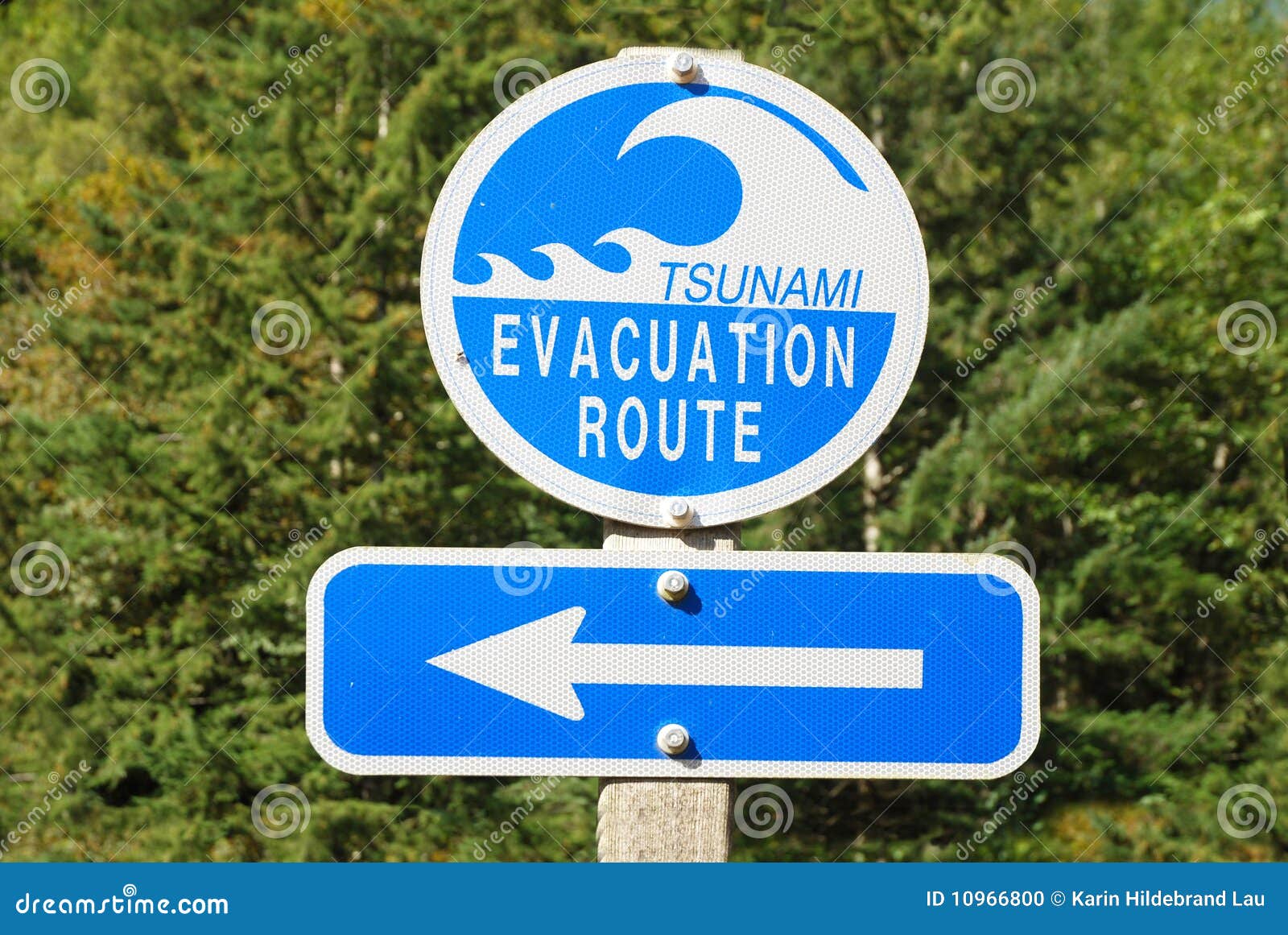 Tsunami Sign stock photo. Image of escaping, water, post - 10966800