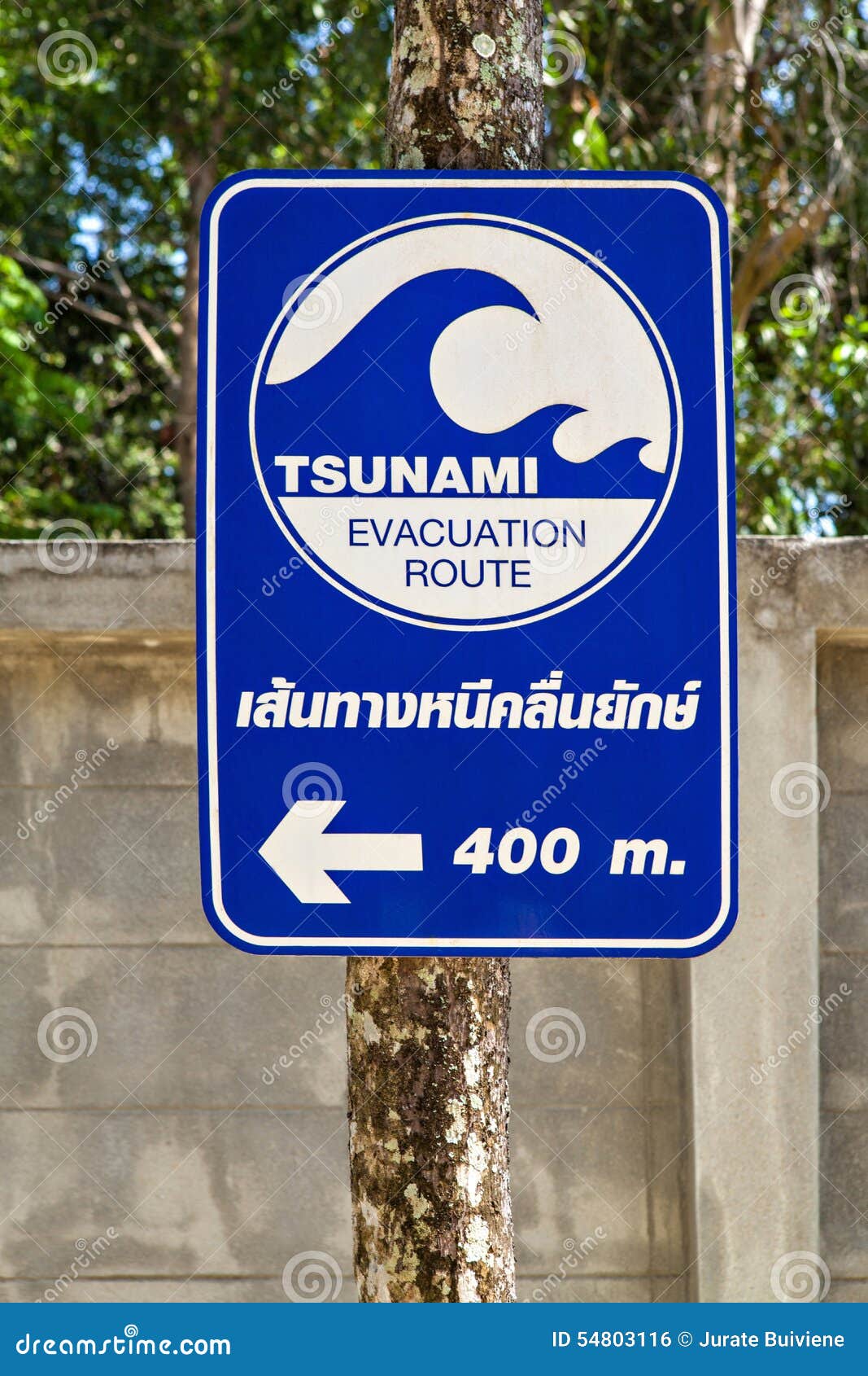 Tsunami Sign. Royalty-Free Stock Photo | CartoonDealer.com #83092365