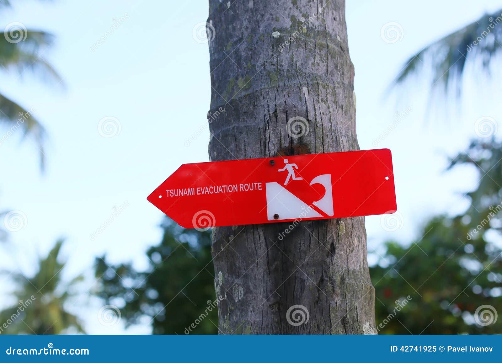 Tsunami Warning Sign on the Palm in Indonesia Stock Image - Image of ...