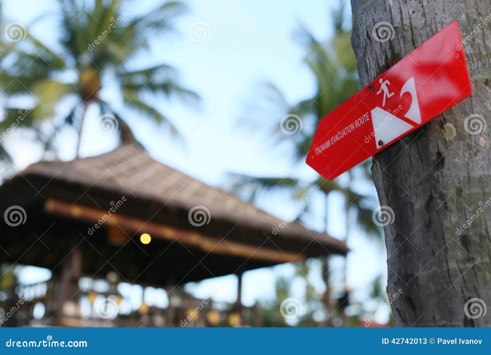 Tsunami Warning Sign on the Palm in Indonesia Stock Image - Image of ...