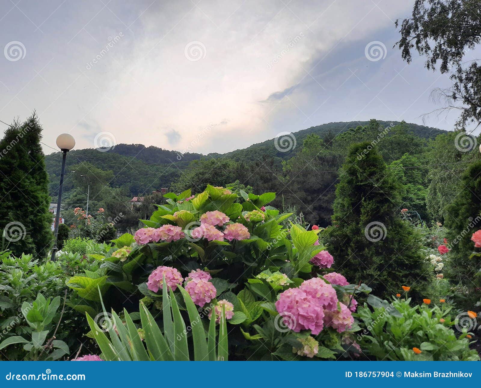 Tuapse is a coastal town stock photo. Image of lawn - 186757904