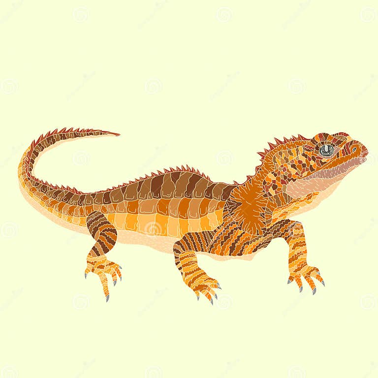 Tuatara lizard stock vector. Illustration of abstract - 66209280