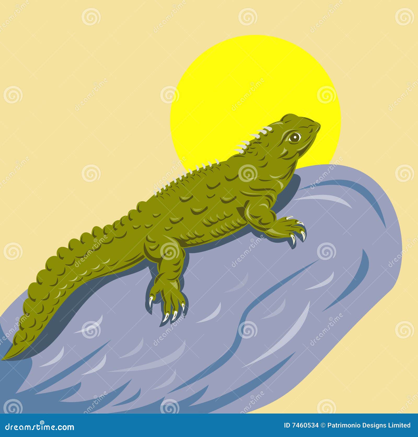 Tuatara Cartoons, Illustrations & Vector Stock Images - 136 Pictures to ...