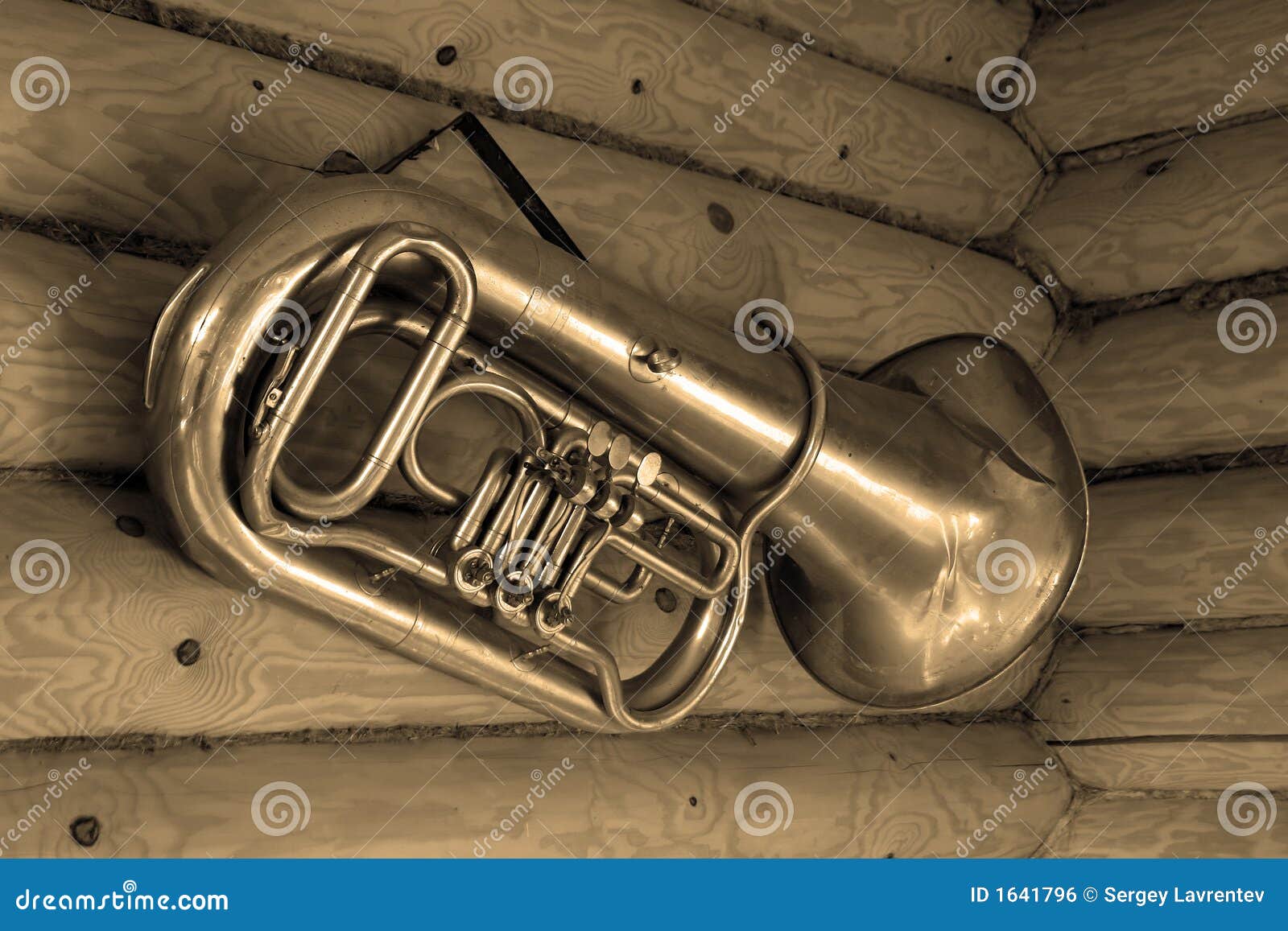 Tuba stock photo. Image of fanfare, sound, metal, valve - 1641796