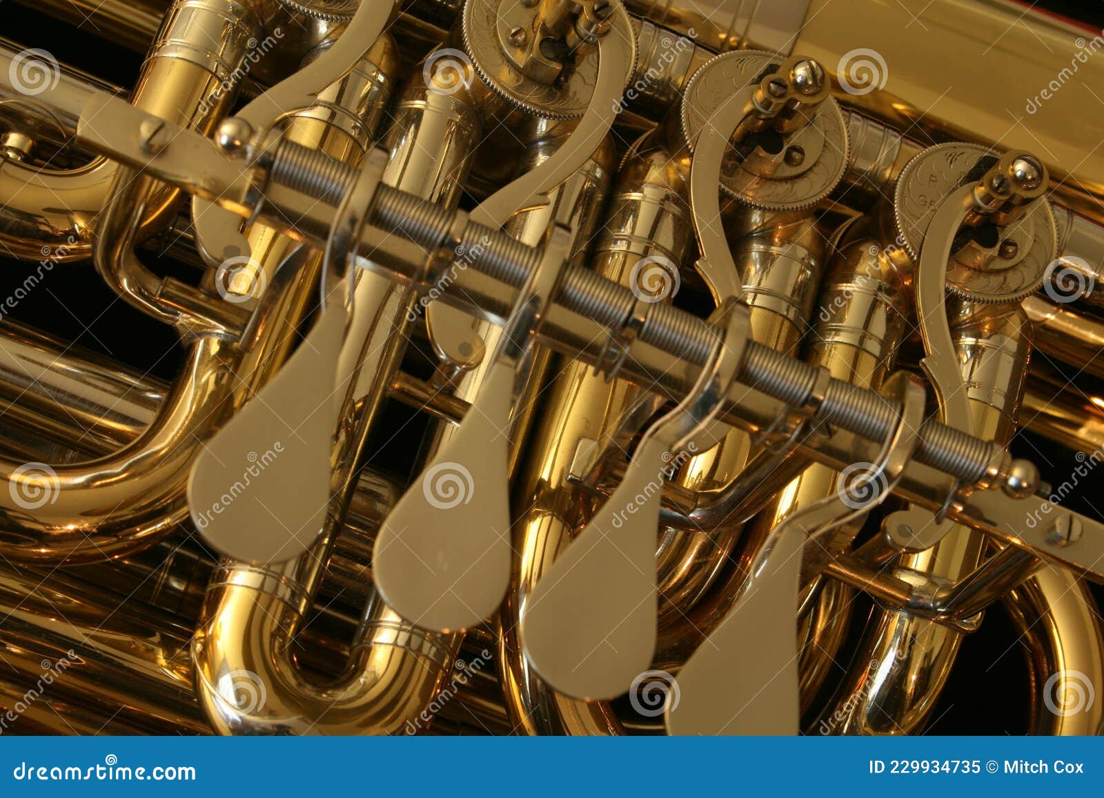 Tuba Valves Diagonal stock image. Image of valve, yellow - 229934735