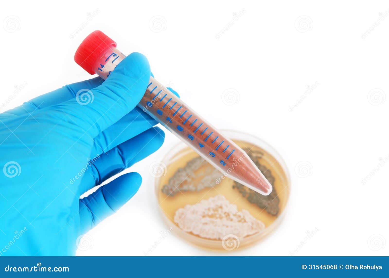 Tube with Chemical Compound Stock Photo - Image of microbiology, cure ...