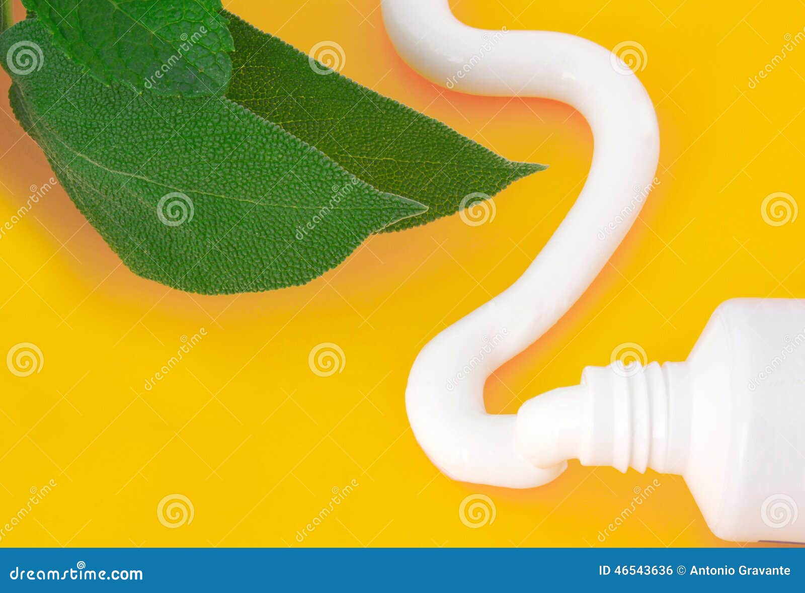Tube of Toothpaste Mint Flavor Stock Photo - Image of flavor, extract ...