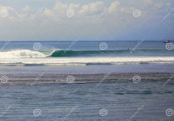 Tube wave stock photo. Image of dreamland, green, extreme - 16538320