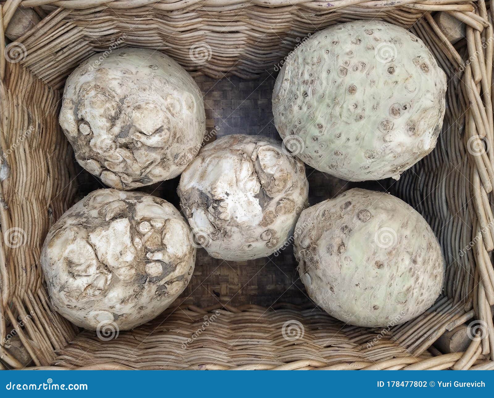 Tuber of Celery, Green Vegetables from Market Stock Photo - Image of ...