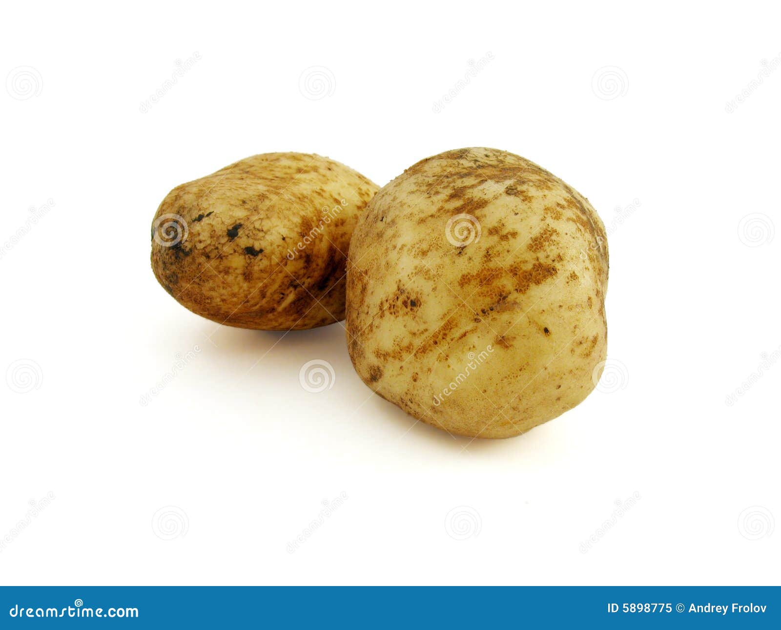 Tuber Potato Picture. Image: 5898775