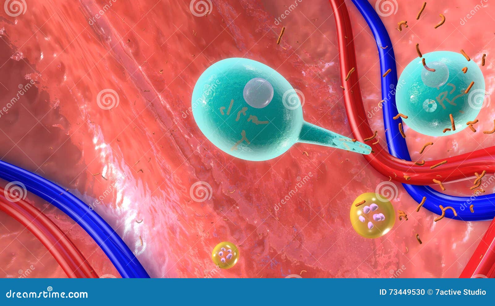 Tuberculosis Virus stock illustration. Illustration of lung - 73449530
