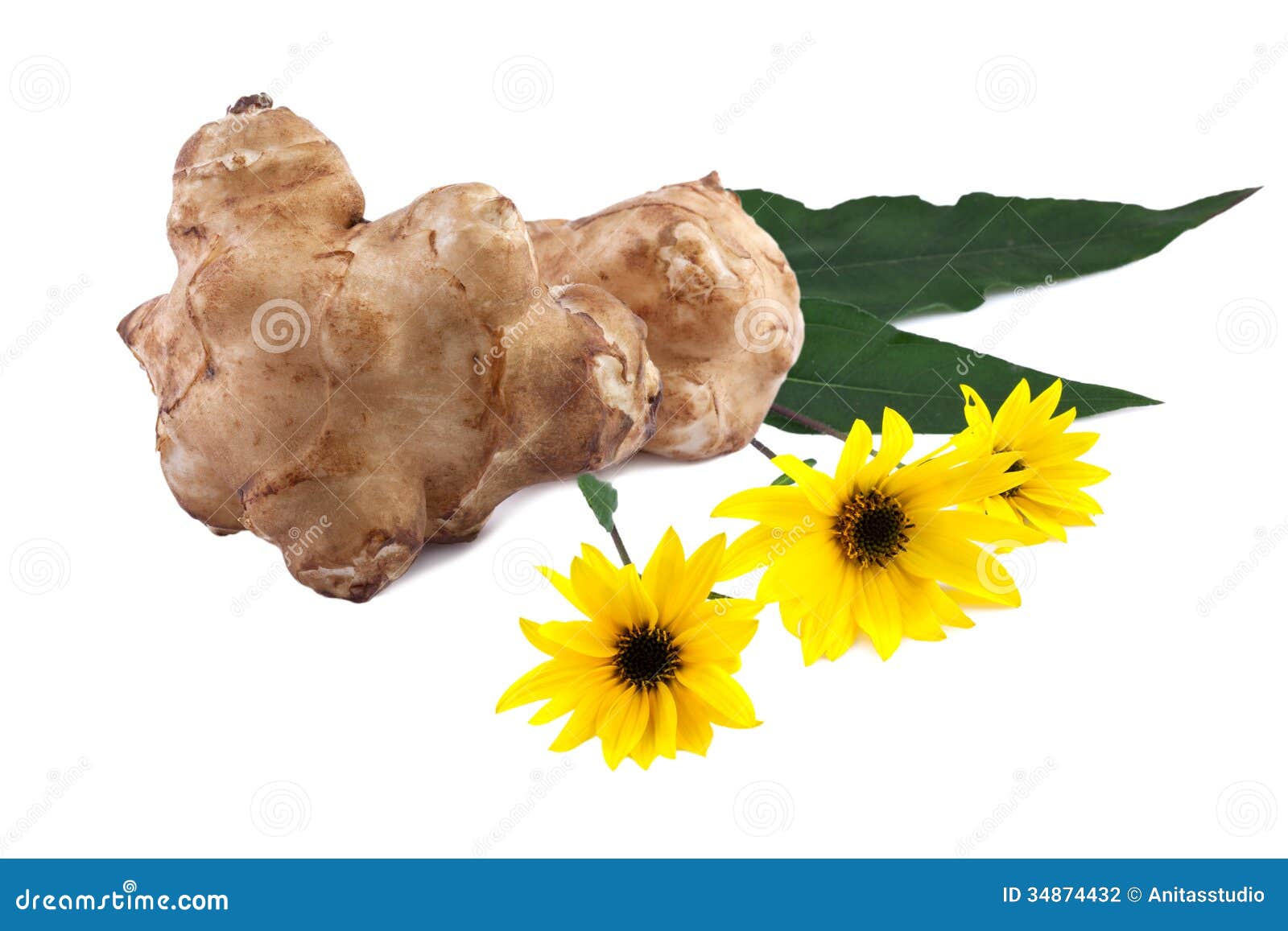 Tuberi E Fiori Del Topinambur Fotografia Stock - Immagine di fruttosio ...