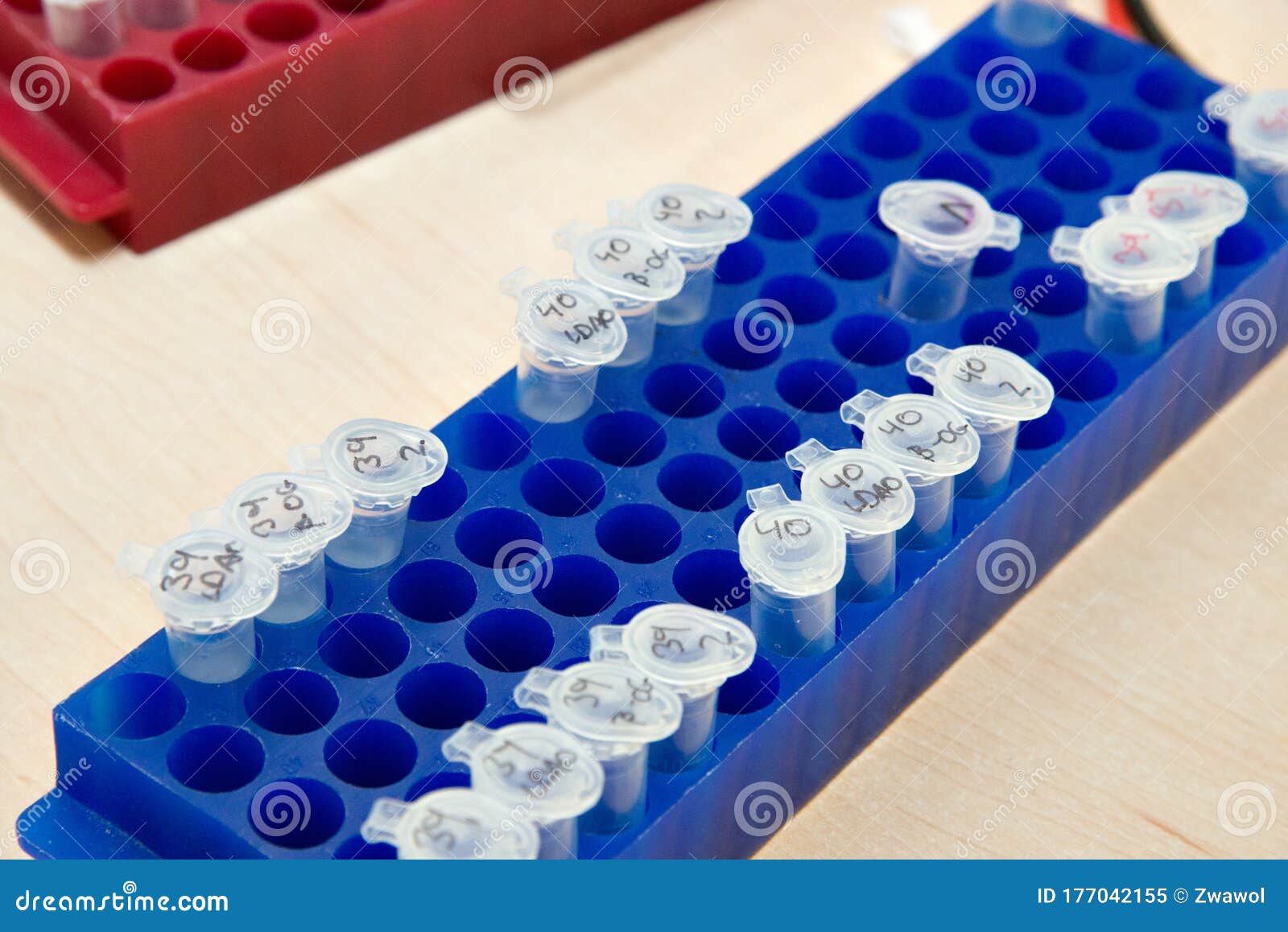 Tubes in a Biochemistry Labor Stock Image - Image of test, vaccine ...