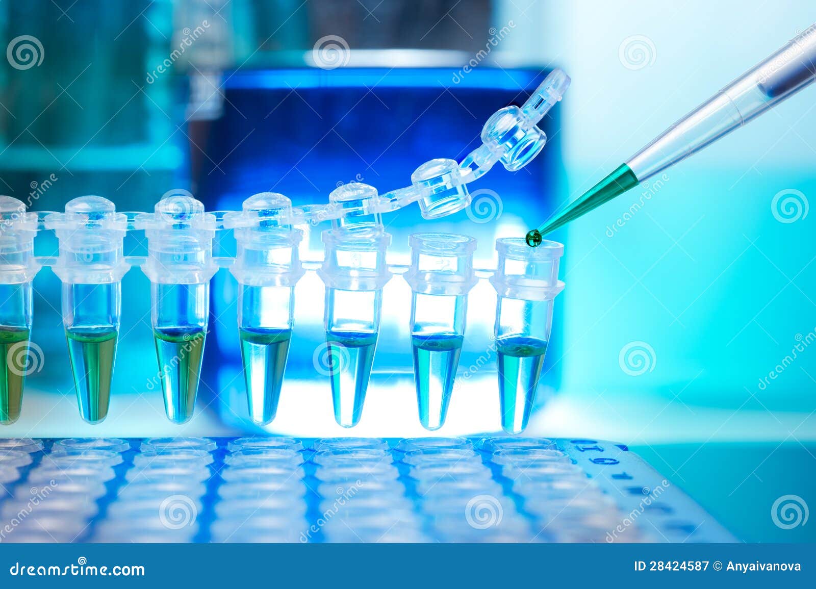 Tubes for DNA Amplification Stock Image - Image of plate, amplification ...