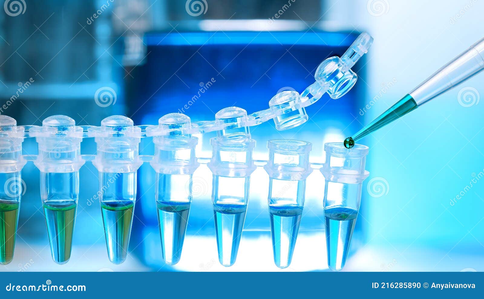 Tubes for DNA Amplification Stock Photo - Image of biology, tool: 216285890