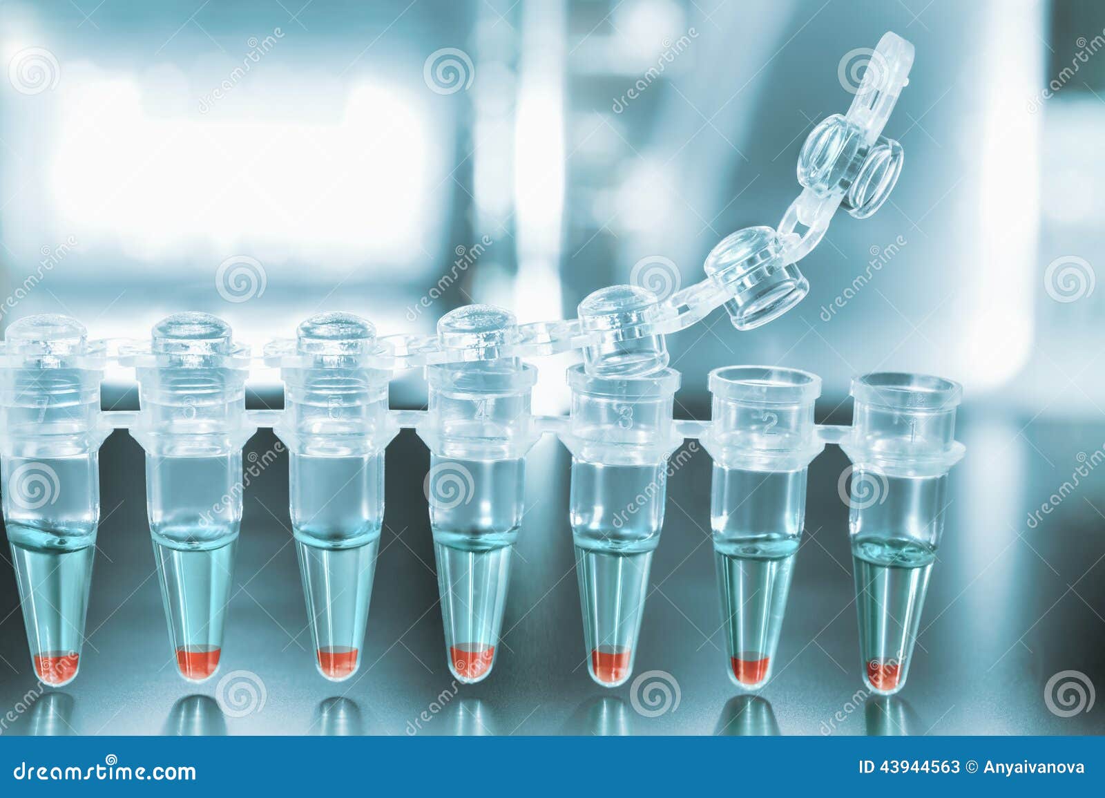 Tubes for DNA Amplification with Samples Stock Image - Image of ...