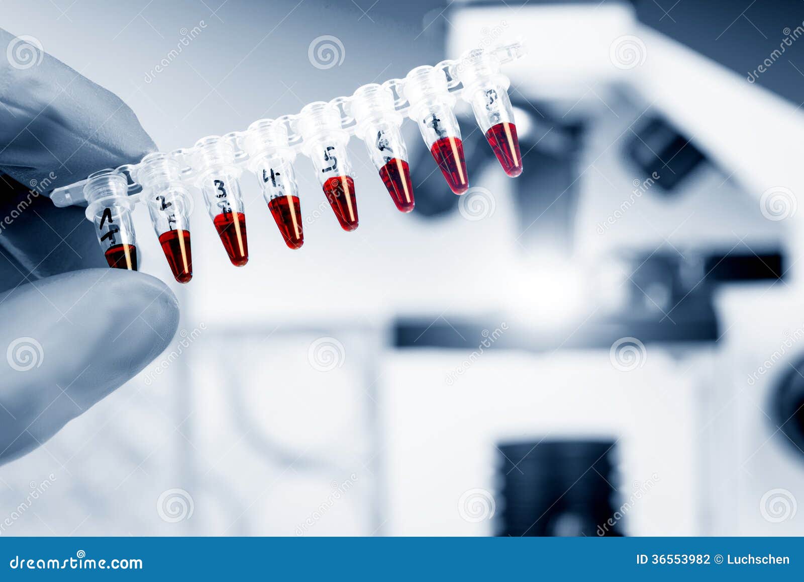Tubes with genetic samples stock photo. Image of microtube - 36553982