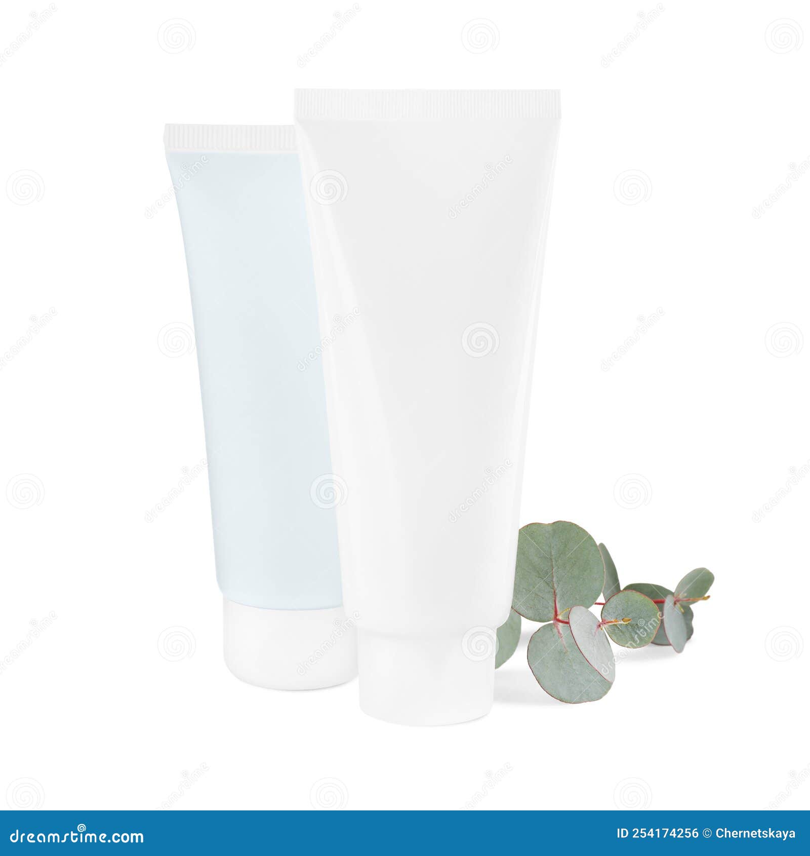 Tubes of Hand Cream and Eucalyptus on White Background Stock Photo ...