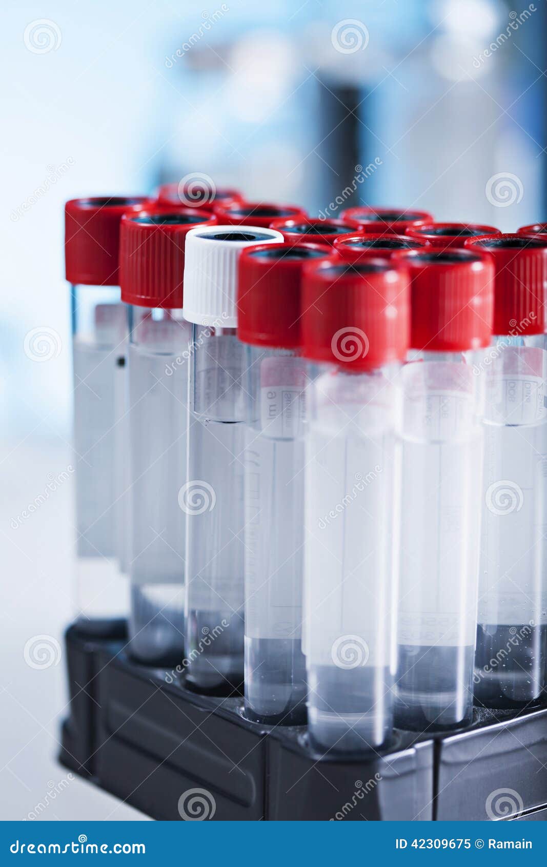 Tubes in the laboratory stock image. Image of liquid - 42309675