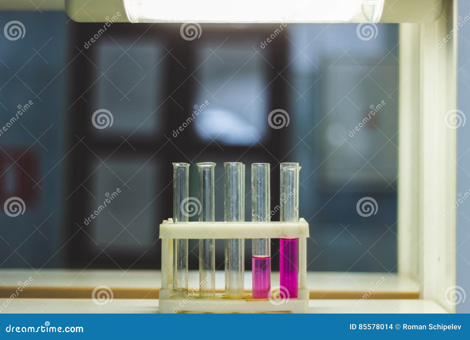 Tubes in laboratory stock photo. Image of science, school - 85578014