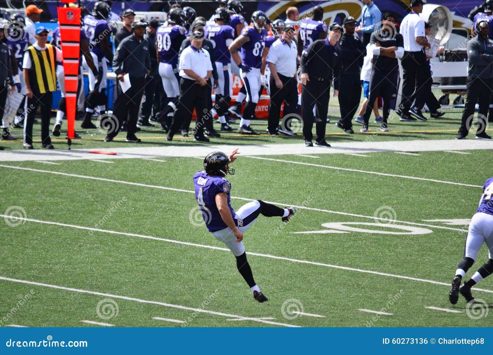 Punter editorial photo. Image of hawk, flacco, bank, game - 60273136