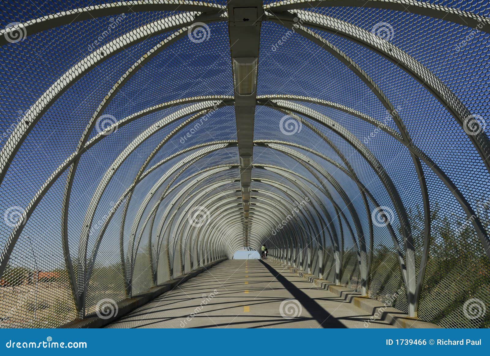 Tucson Snake Bridge stock photo. Image of urban, arizona - 1739466