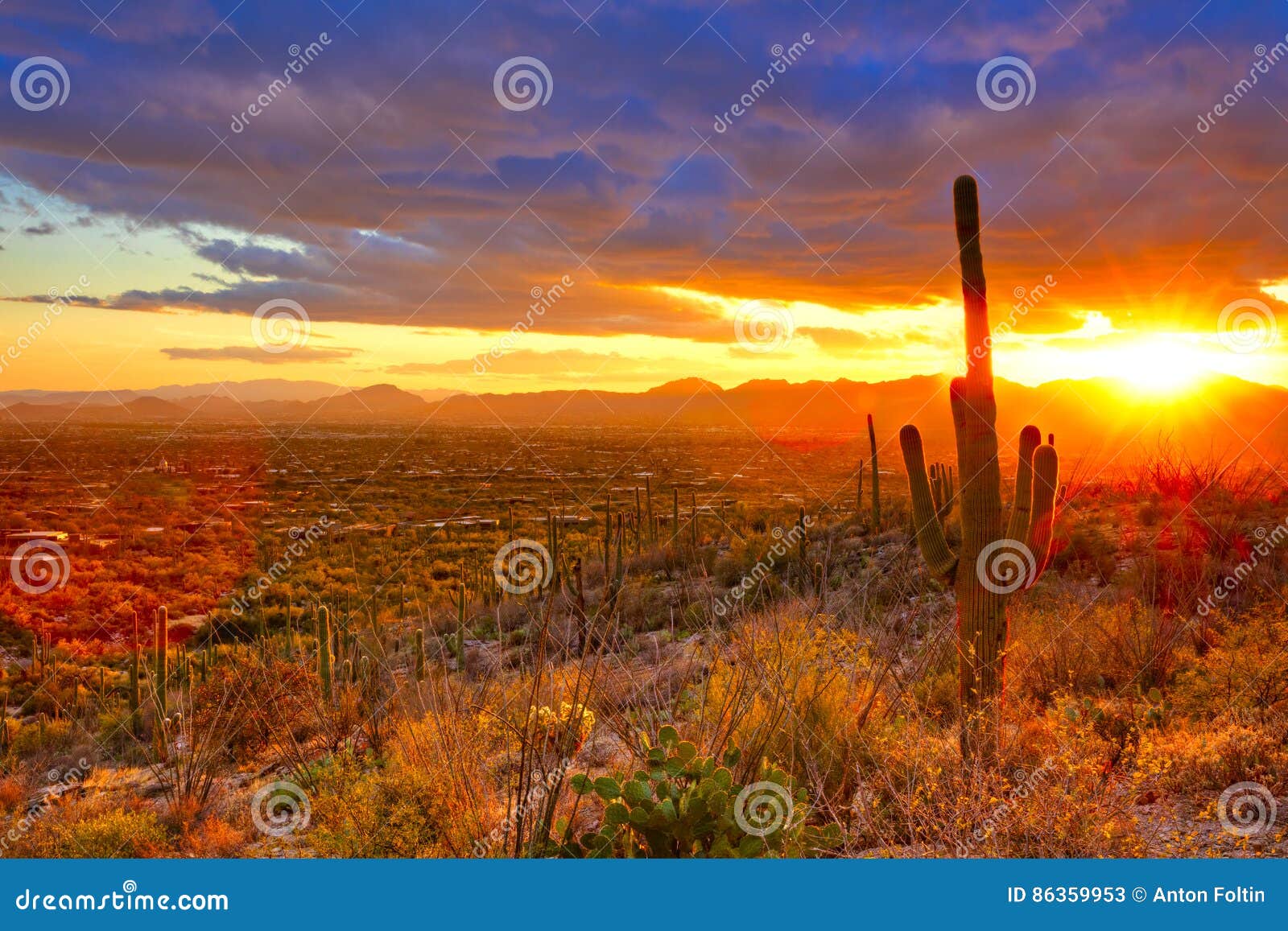Tucson stock image. Image of mountains, wilderness, sunset - 86359953